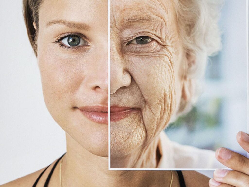 Aging and Our Body - Oral Health Insights